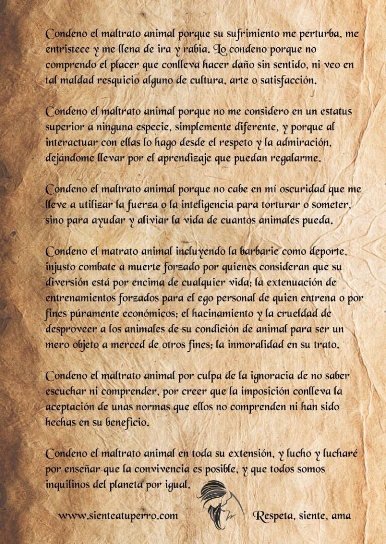 Yo condeno el maltrato animal | Sentido Animal