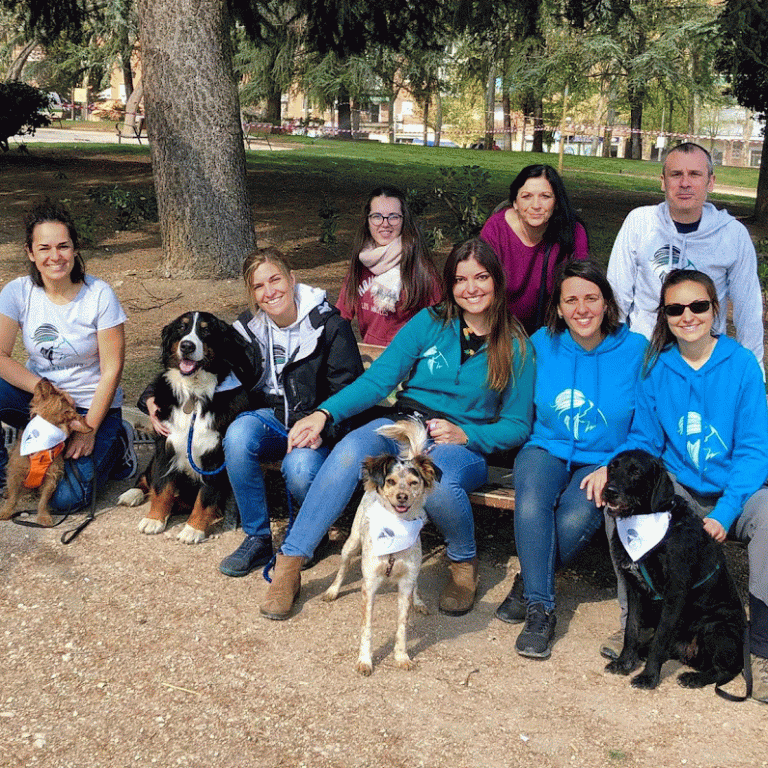Cursos de Intervenciones Asistidas con Animales | Sentido Animal